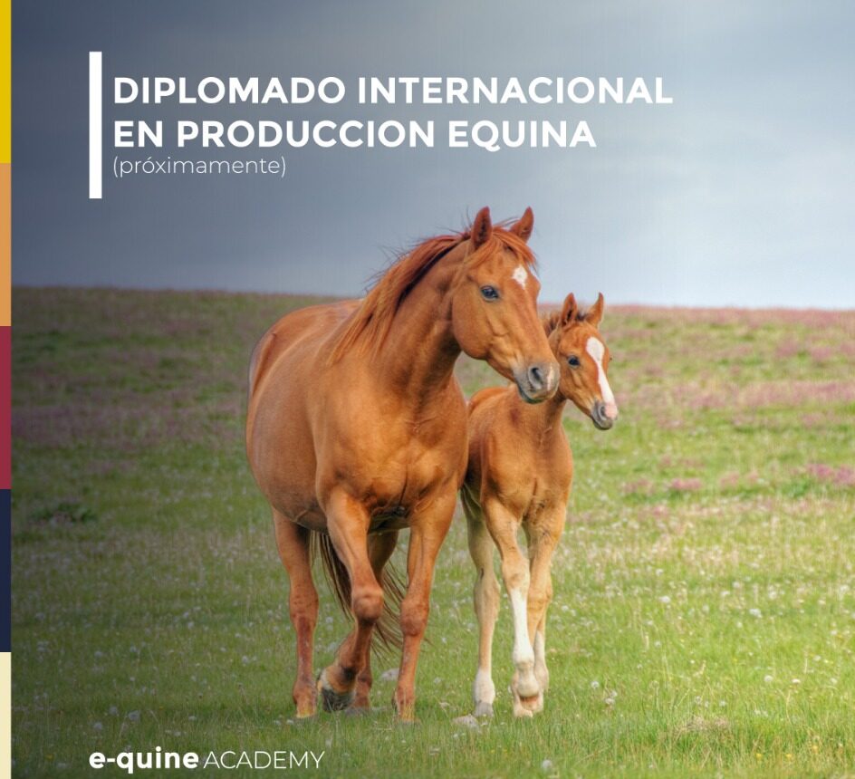 Diplomado Internacional en Producción Equina - Asociación Argentina de ...